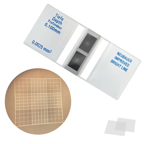Hemocytometer Cell Counting Chamberimproved Philippines Ubuy