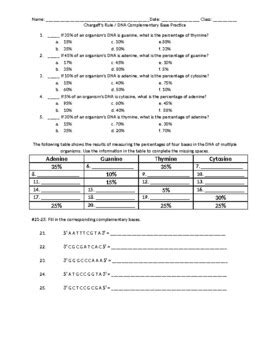 DNA Base Pairing Practice By Joseph Harris Teachers Pay Teachers