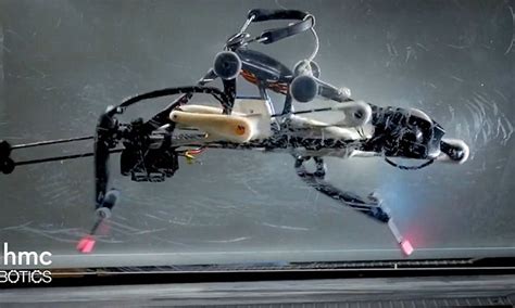 Bipedal Robot That Runs Like An Ostrich Can Balance Itself Daily Mail