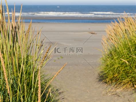 无标题高清摄影大图 千库网