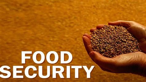 Reforming Harmful Subsidies Key To Achieving Global Food Security And