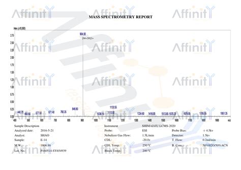 P63 Mapk Antibody Affinity Biosciences