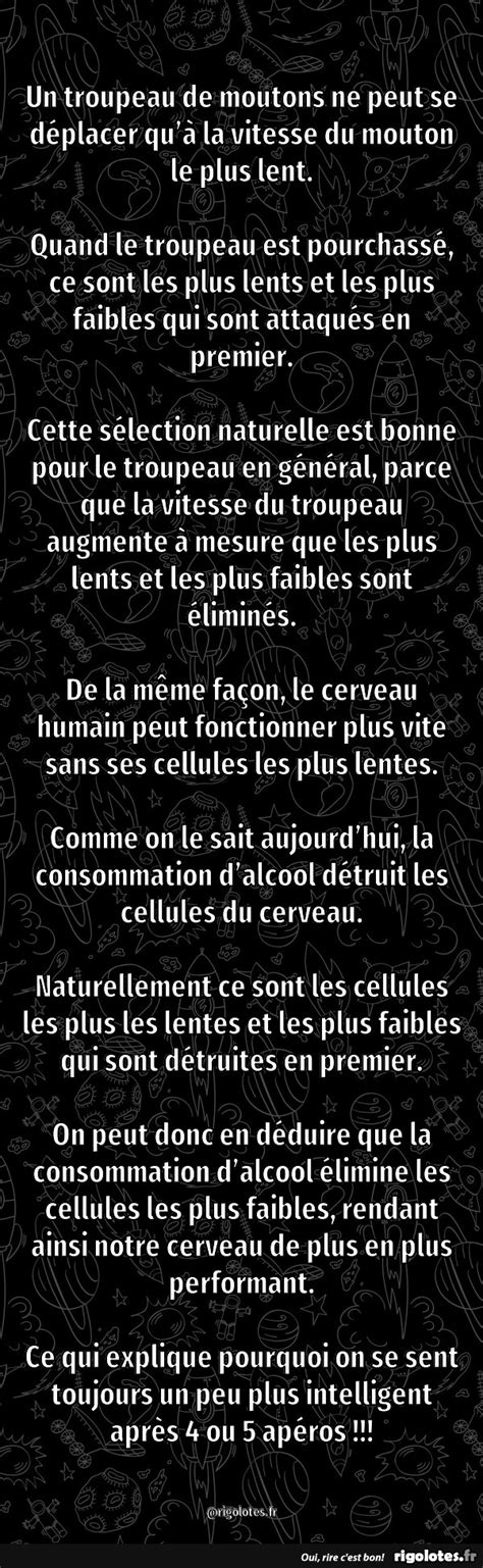 Un troupeau de moutons Blagues et les meilleures images drôles