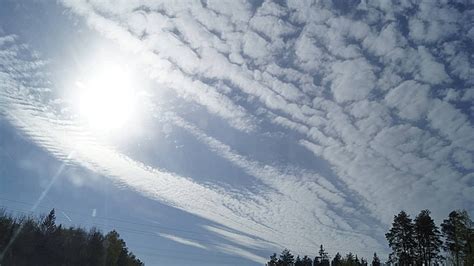 พื้นหลังท้องฟ้าสีคราม ต้นไม้ แสงตะวัน รูปถ่าย และรูปภาพสำหรับดาวน์โหลดฟรี Pngtree