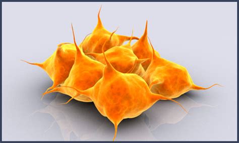 Video Prophylactic Platelet Transfusion In Subgroups Of Patients With Hematologic Diseases