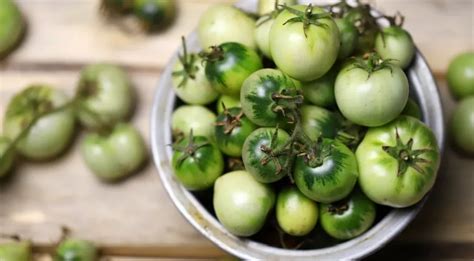 Помидор - описание продукта, как выбирать, как готовить, читайте на ...