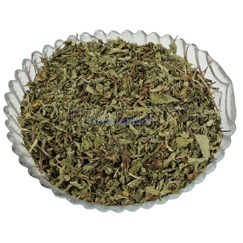 Wholesome Spices and Powders : Order Pudina Podina Mint Mentha ...
