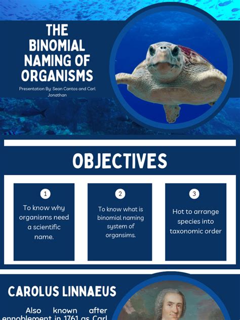 The Binomial Naming Of Organisms Ang Hiearchy Of Taxonomic Classification Pdf