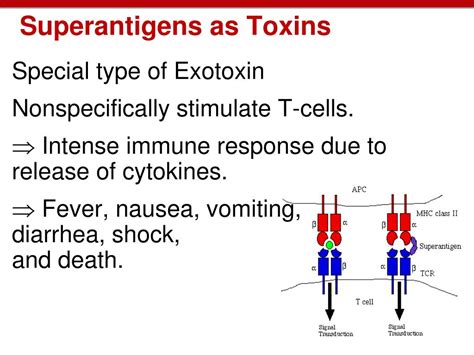 Ppt Ch 15 Powerpoint Presentation Free Download Id2159340