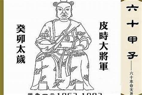 辛未日柱详细论命辛未大运是什么意思 八字 若朴堂文化