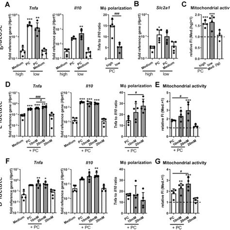 Macrophage Immune Activation After Stimulation With Conditioned Media