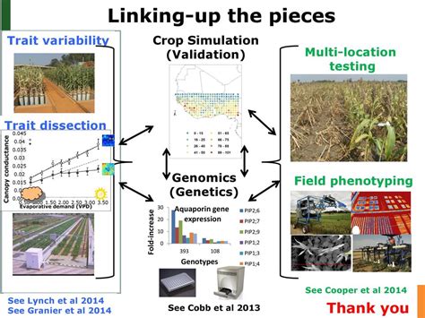 Advances In Below And Above Ground Phenotyping Ppt Download