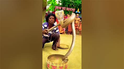 জয় মা মনসা🙏মা মনসাকে অহংকার করে কেউ এরিয়ে যাবেন না লাইক করুন সাত