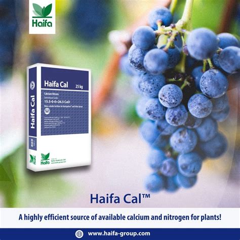 Haifa South East Europe On Linkedin Haifa Haifacal Fertilizer