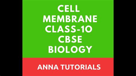 Cell Membrane Plasma Membrane NEET Anna Tutorials YouTube