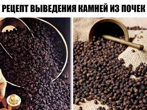 Тибетский рецепт выведения камней из почек – черный перец. Перечница ...
