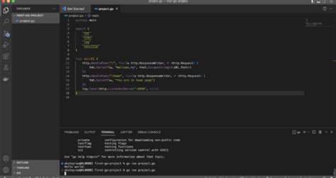 I Tried A Build A Simple Server In Golang Developersio