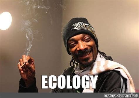 Meme Ecology All Templates Meme