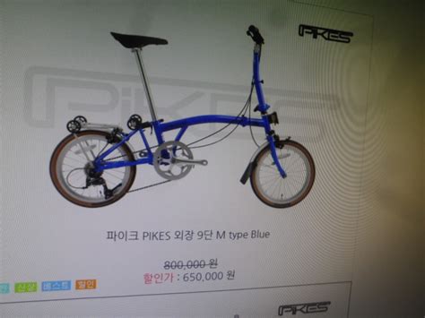 Daum 카페