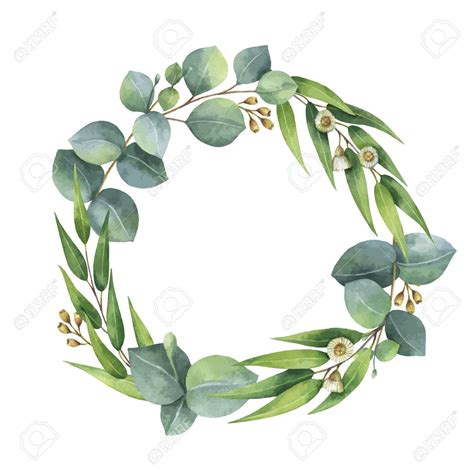 Free Eucalyptus Vector At Getdrawings Free Download