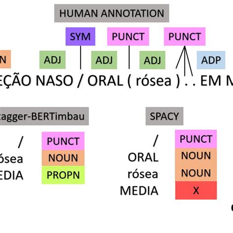 Human Annotation And Model Output For A Sample Pos Tagged Sentence Download Scientific Diagram