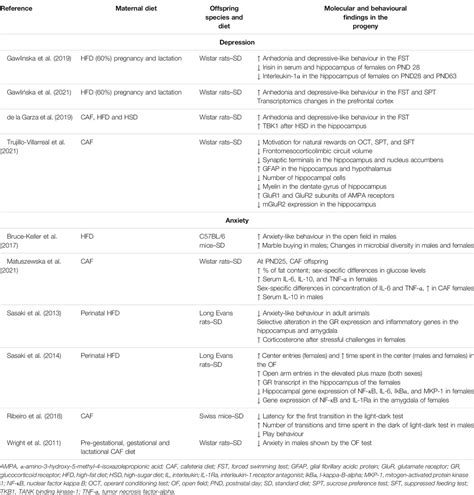 Frontiers Mood Disorders Induced By Maternal Overnutrition The Role Of The Gut Brain Axis On