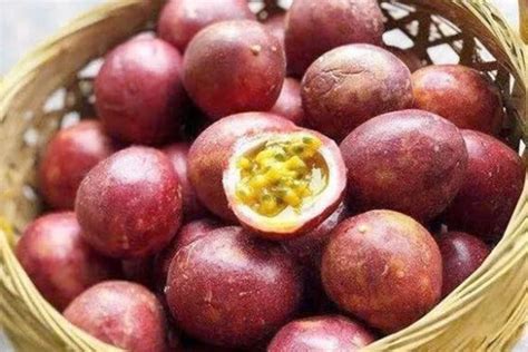 Passion Fruit Varieties What You Need To Know Vncommex
