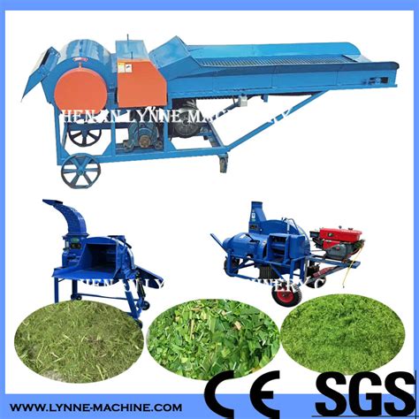 Poultry Cattle Cow Farm Silage Agriculture Straw Corn Stalks Feed
