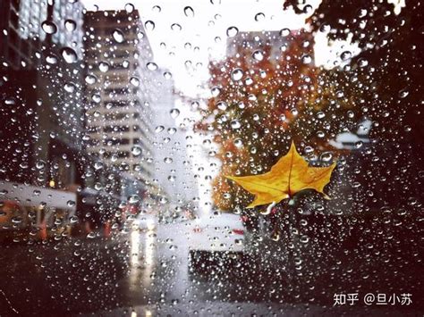 喜欢下雨是一种瘾你知道为什么吗 知乎