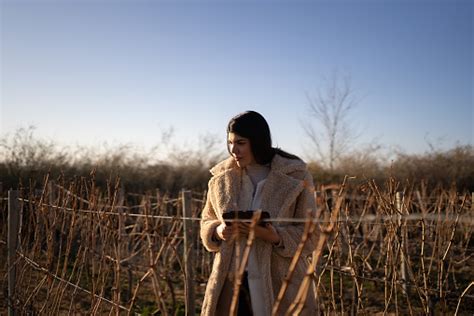 포도밭에서 디지털 태블릿으로 작업하는 중년 성인 여성 30 34세에 대한 스톡 사진 및 기타 이미지 30 34세 가을 검사 보기 Istock