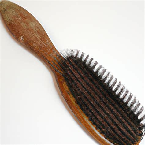 Who Invented The Hair Brush Lizards Knowledge Mind Discovering The