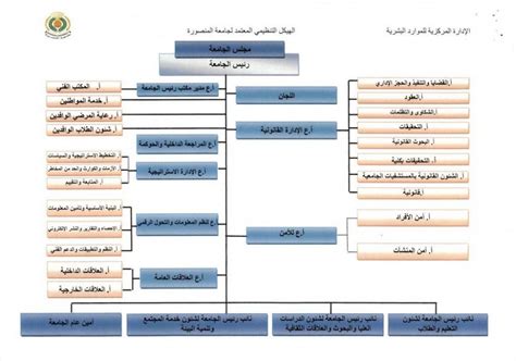 الهيكل التنظيمى للجامعة جامعة المنصورة مصر