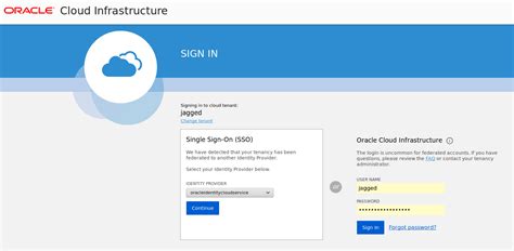 Run Like Hell Oracle Cloud Login