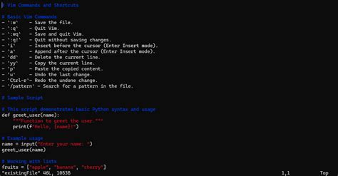 How To Use The Vim Text Editor In Linux Vultr Docs