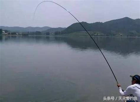 老钓手教您野钓大鱼时的遛鱼技巧