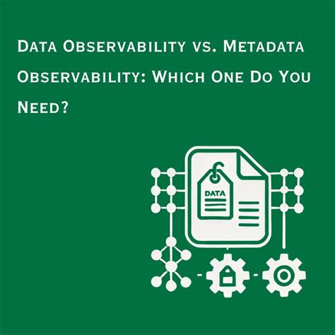 telmai on linkedin dataobservability metadataobservability dataquality