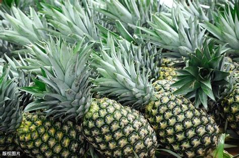 菠蘿和鳳梨不一樣別再傻傻分不清 每日頭條