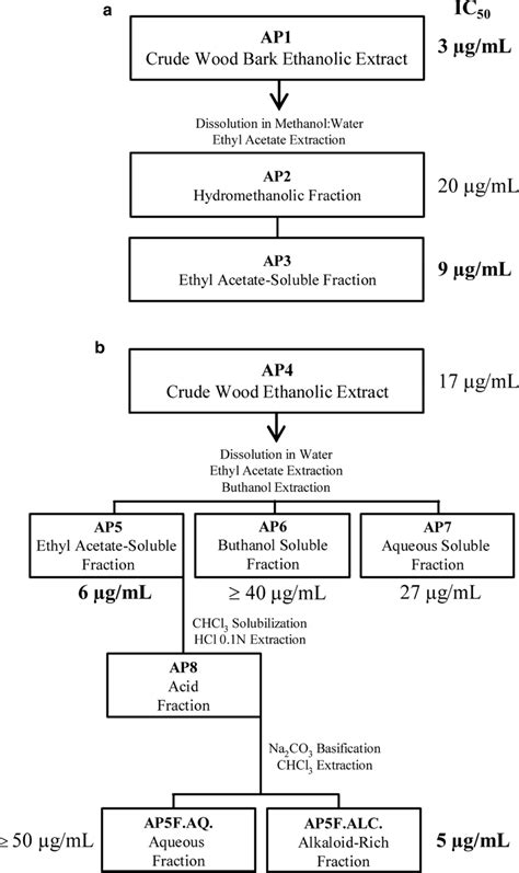 Fractionation Workflow Of The Plant Stem Bark A And Stem B