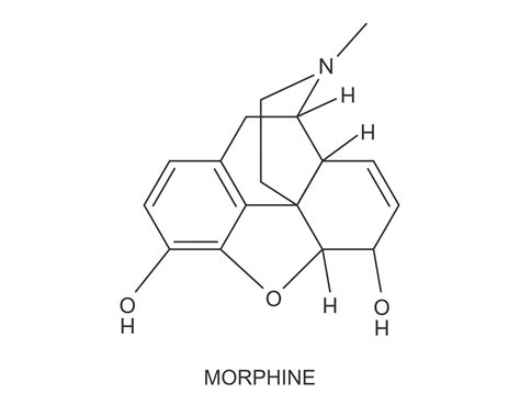 Morphine Chemical Molecular Structure Icon Medical Opioid Drug Formula