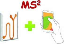 Novel Developments In Mobile Sensing Based On The Integration Of