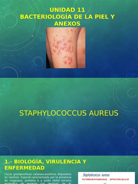 Unidad 11 Bacteriología De La Piel Y Anexos Pdf