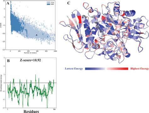 Overall Quality Of The α Glucosidase Model From The Prosa Web Server
