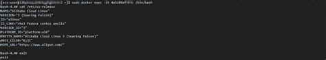 在容器（docker）中使用alibaba Cloud Linux镜像 Alibaba Cloud Linux 阿里云