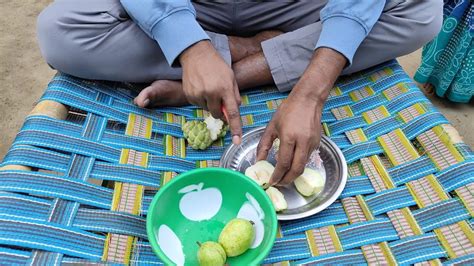 ଗାଁ ରେ Natural Guava ଖାଈଲି ମଜା ଆସିଗଲା Sambalpuri Vlog Video 📸