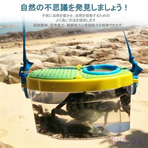 【楽天市場】昆虫採集セット 工作キット 実験キット 理科実験キット 飼育セット 昆虫採集 4点セット 伸縮式虫取り網 虫かご採集コンテナ 拡大