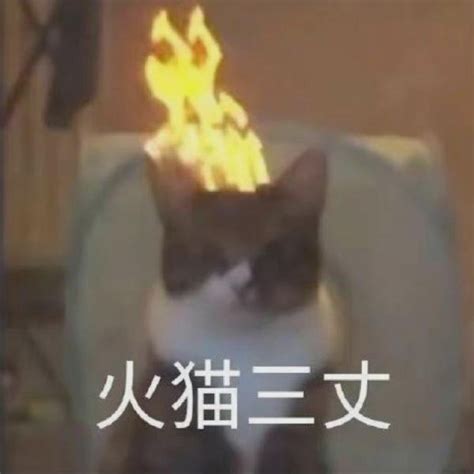 钢琴谱 第五人格—徐梦圆《five》
