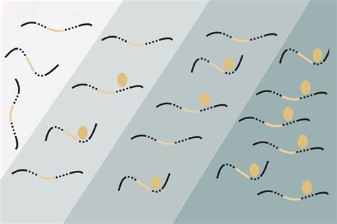 New Gene Regulation Model Provides Insight Into Brain Development Mit