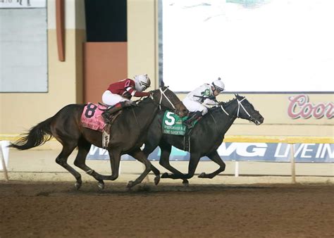 Long Range Toddy Soaks Up Magic In 400000 Springboard Mile