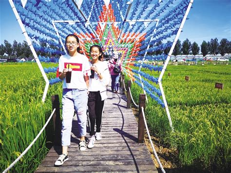 稻浪涌起兴农梦 花海绽放致富源 ——内蒙古兴安盟扎赉特旗国家现代农业产业园发展纪实 扎赉特旗 老家网
