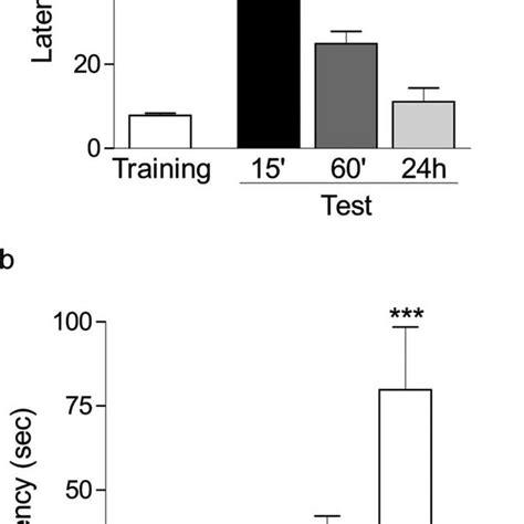 Inhibition Of Protein Synthesis Prevents Inhibitory Avoidanceltm